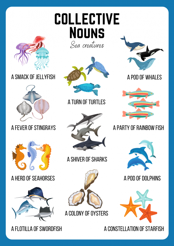 Exploring Fascinating Sea Creatures - ENGLISH4ALL