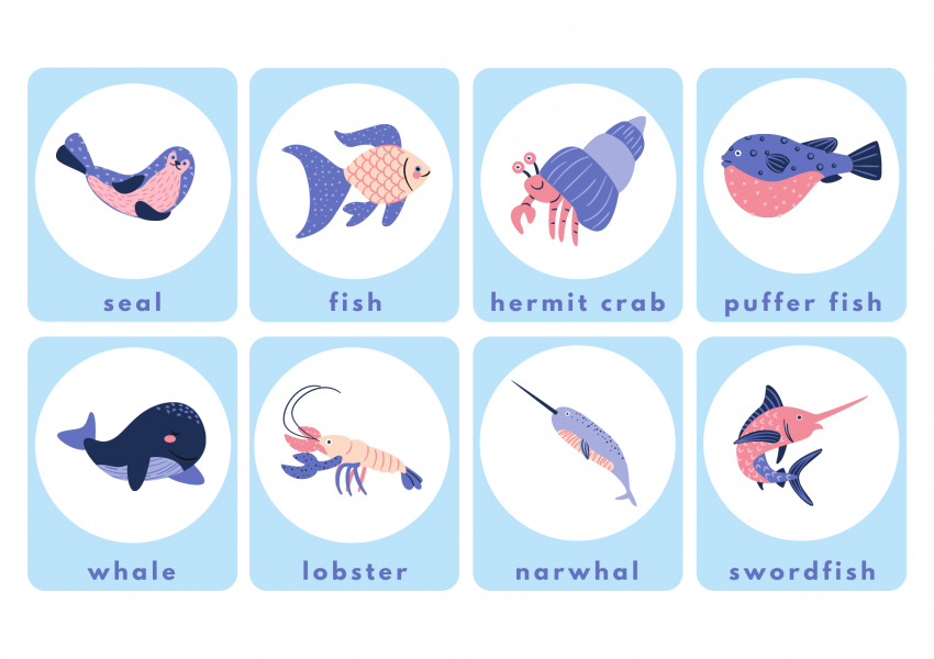 Sea Animals (3): Seals, Fish, Hermit Crabs, Puffer Fish, Whales ...