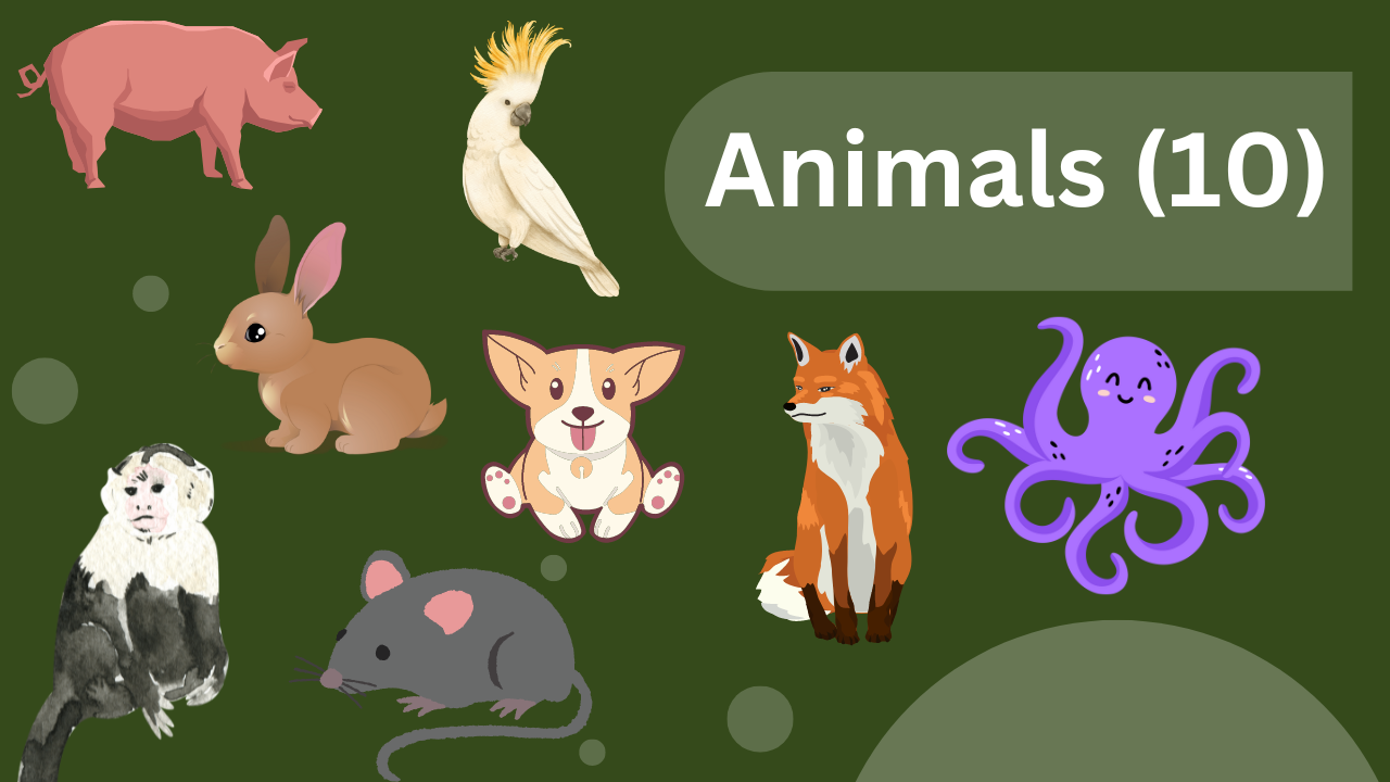 Animals (10) - ENGLISH4ALL