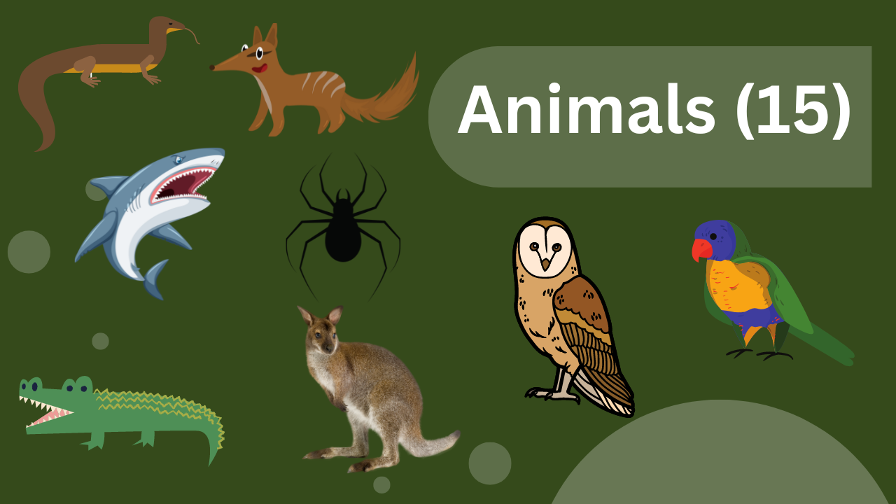Animals (15) - ENGLISH4ALL