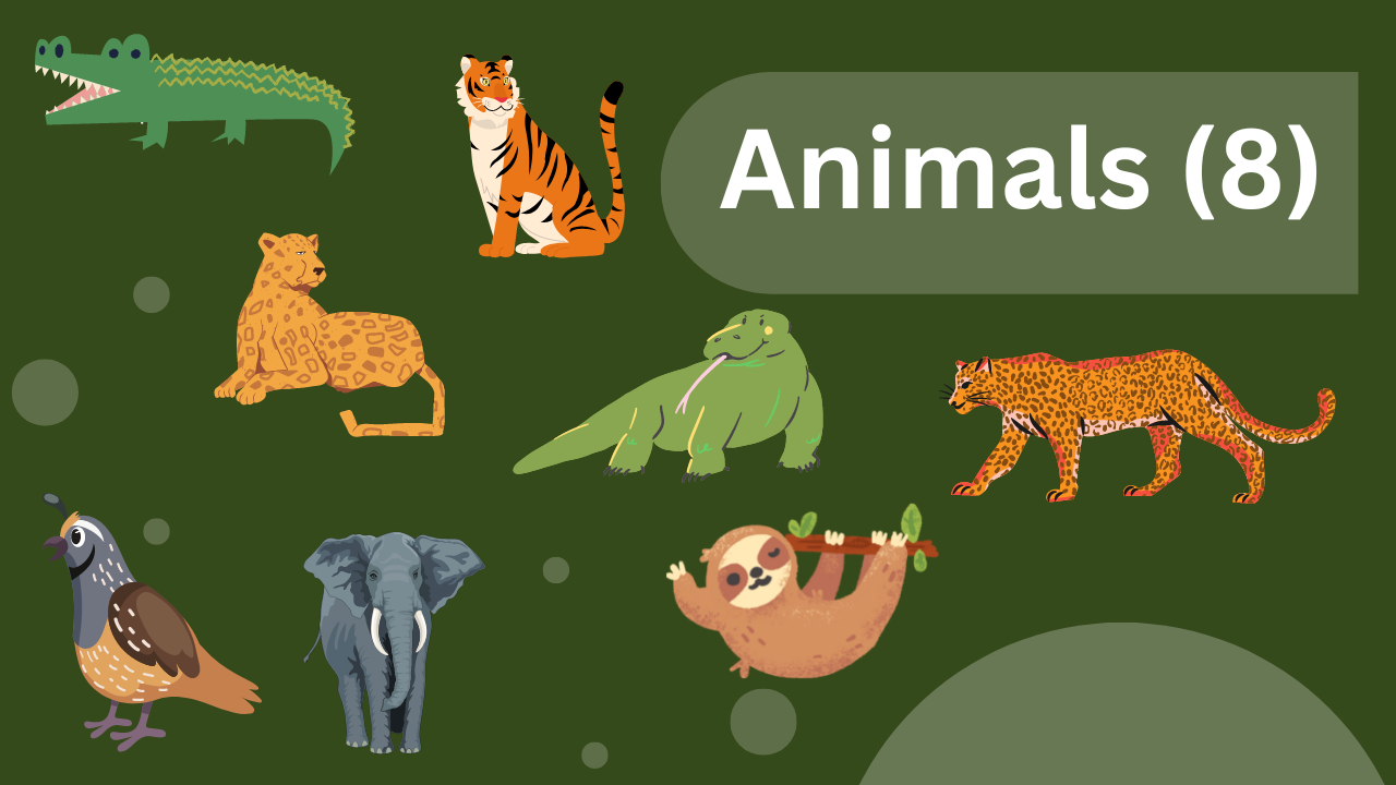 Animals (8) - ENGLISH4ALL