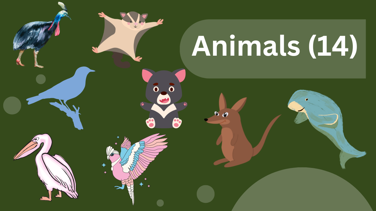 Animals (14) - ENGLISH4ALL
