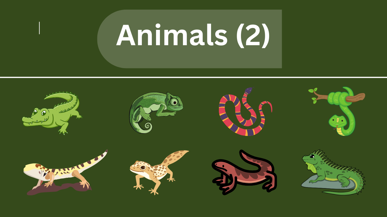 Animals (2) - ENGLISH4ALL